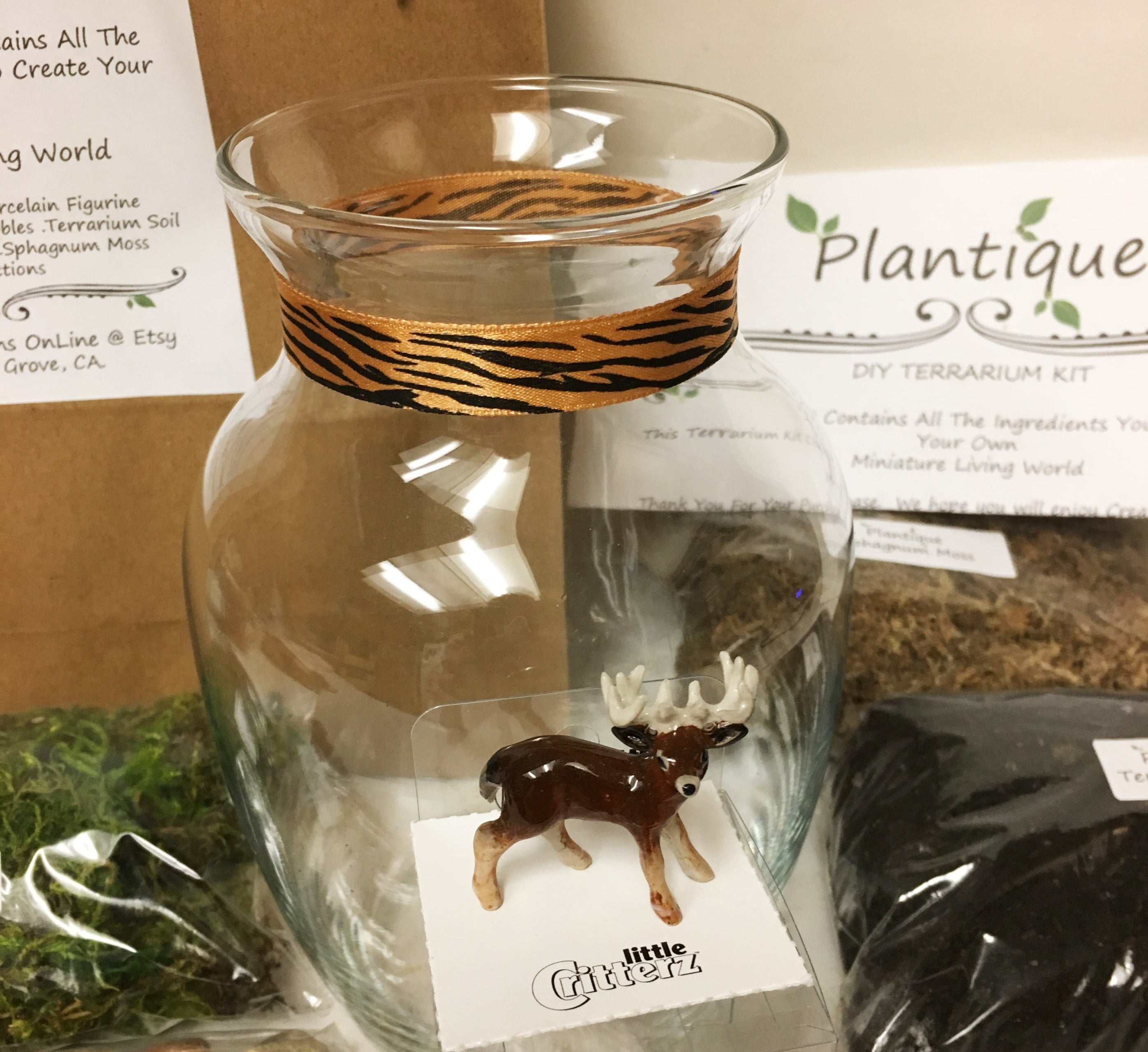 DIY Miniature Deer Buck Terrarium Kit Everything You Need To Design ...